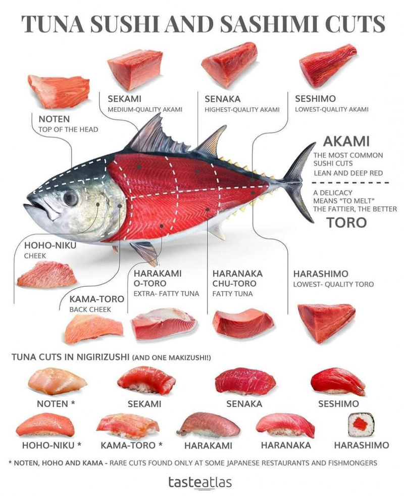 Seafood Media Group - Noticias - Atún rojo: La diferencia grasosa entre ...