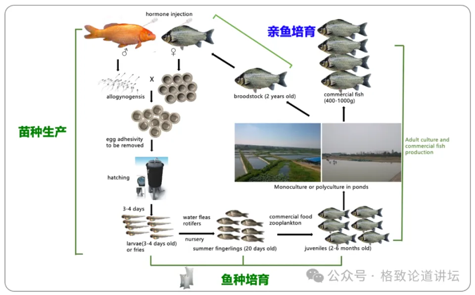Seafood Media Group - Worldnews - China Unveils 'Zhongke 6': The World ...