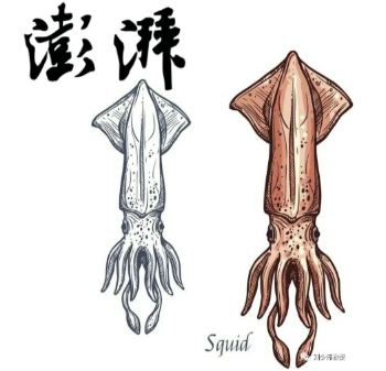 Seafood Media Group - Worldnews - Eight kinds of seafood - squid